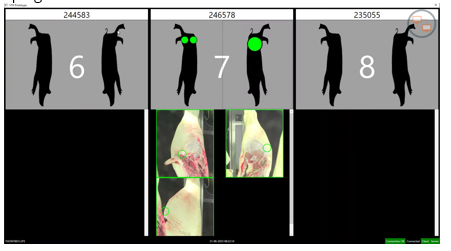 Vision til kødkontrol på svineslagterierne - Vision til kødkontrol (slagtekrop) - Teknologisk ...